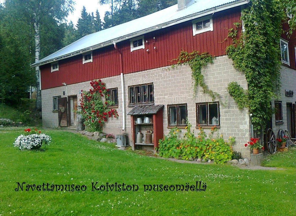 PuuhaPark - visitvihti.fi | The Official Adventure Guide