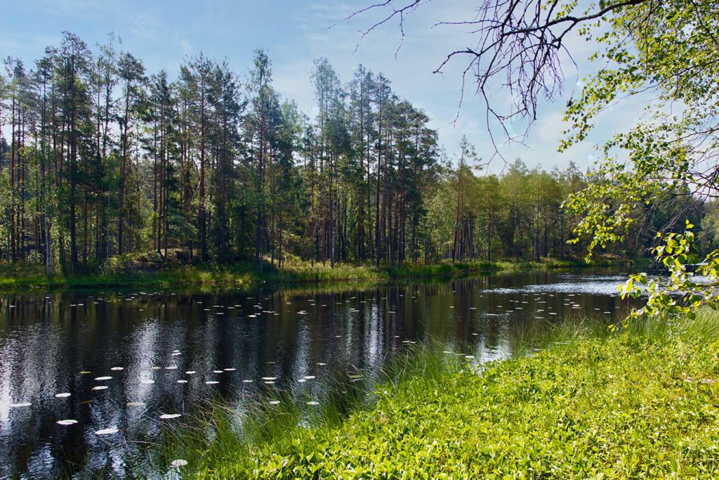 PuuhaPark - visitvihti.fi | The Official Adventure Guide