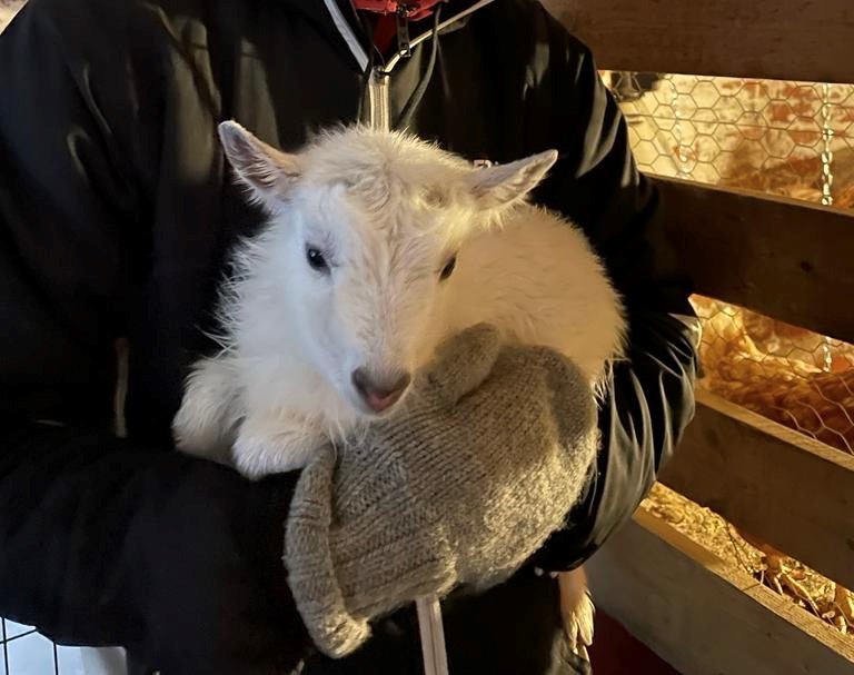 PuuhaPark - visitvihti.fi | The Official Adventure Guide